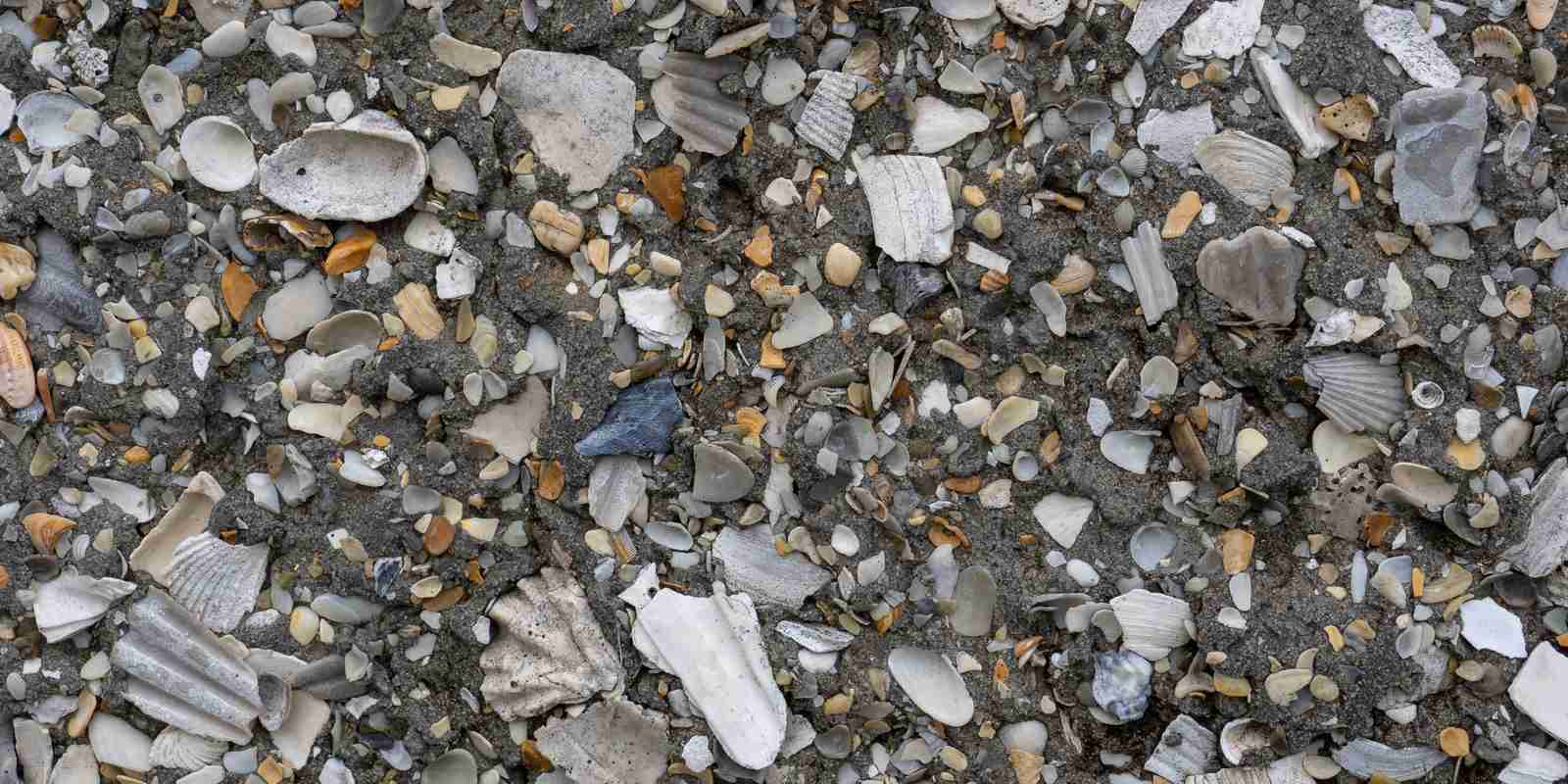 Benefits of Using Seashell Aggregate in Concrete - Earth Depot