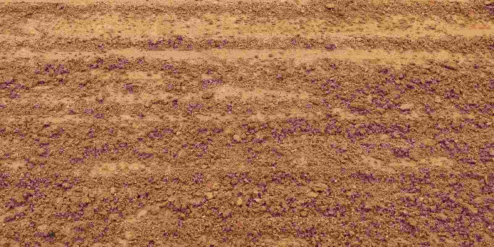 What Is Select Fill Dirt?